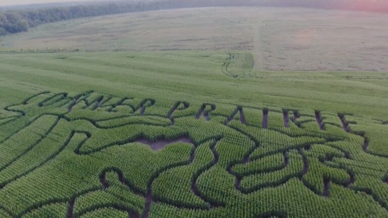 A Foolproof Guide To Escaping A Corn Maze - Kotaku