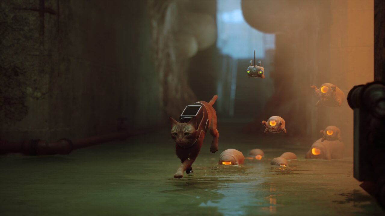 Stray: The Kotaku Review - Kotaku