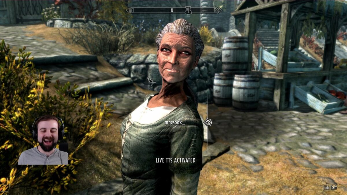 Streamer Builds Hilarious Skyrim Mod That Lets Twitch Chat Voice NPCs ...