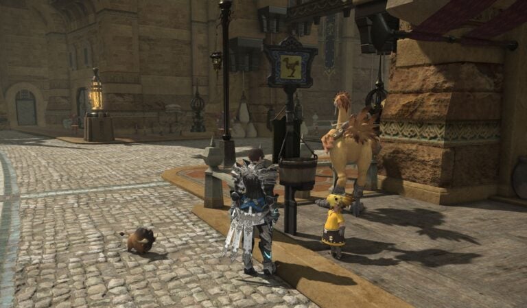 Finding A Chocobo Mount In Final Fantasy XIV - Kotaku