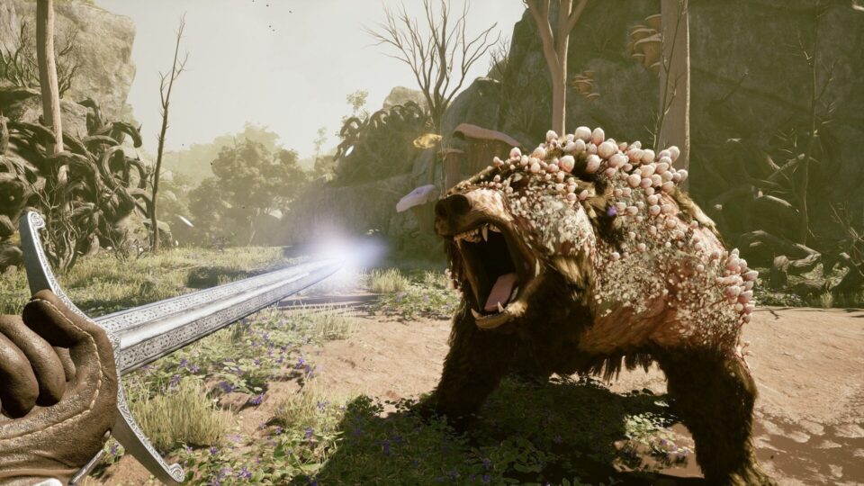 15 Things To Know Before You Start Playing Avowed - Kotaku