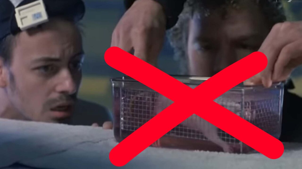 Disney+ Removes Sci-Fi Film Because Of Controversial Rat-Drowning Scene ...