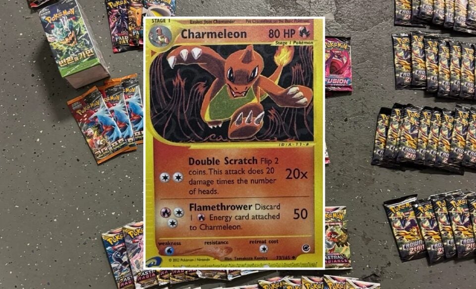 Pokémon Card Fan Loses Entire Collection In The Worst Way