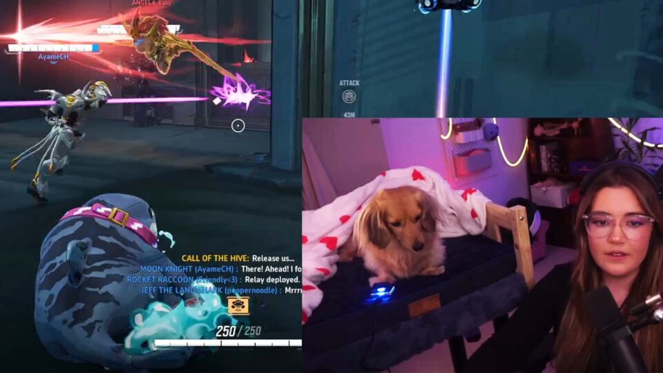 This Dog Heals Better Than Most Of My Marvel Rivals Teammates