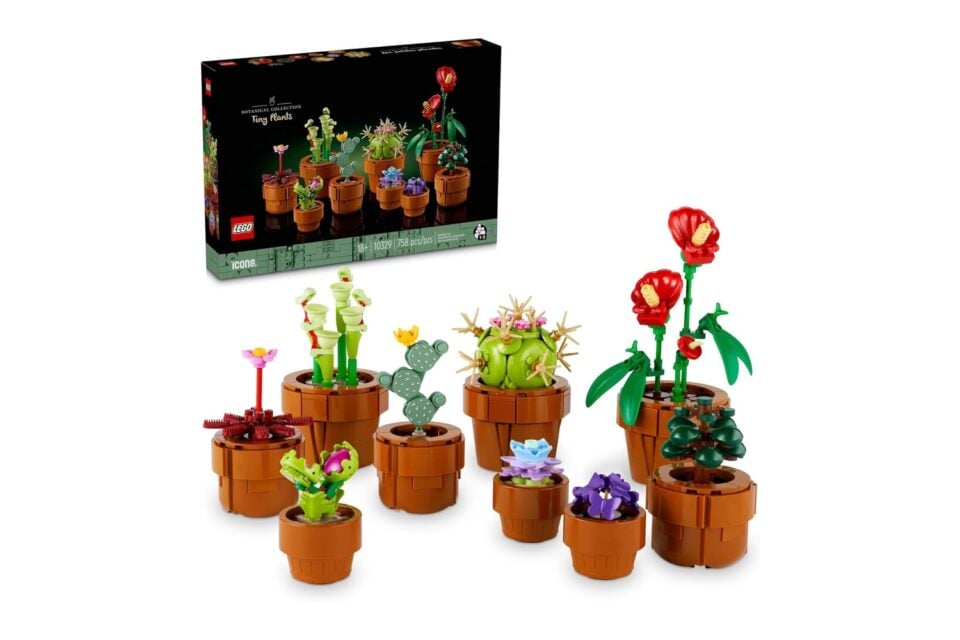 LEGO Goes All-In on Its Botanicals Collection for Valentine’s Day as ...