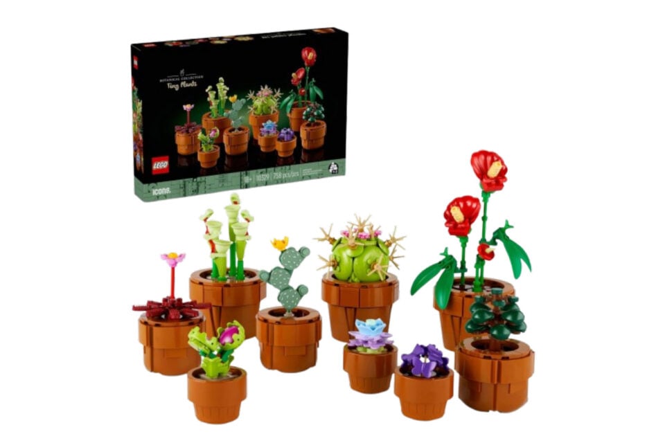 LEGO Botanicals Tiny Plants Set Is the Perfect Floral Gift Under $40 ...