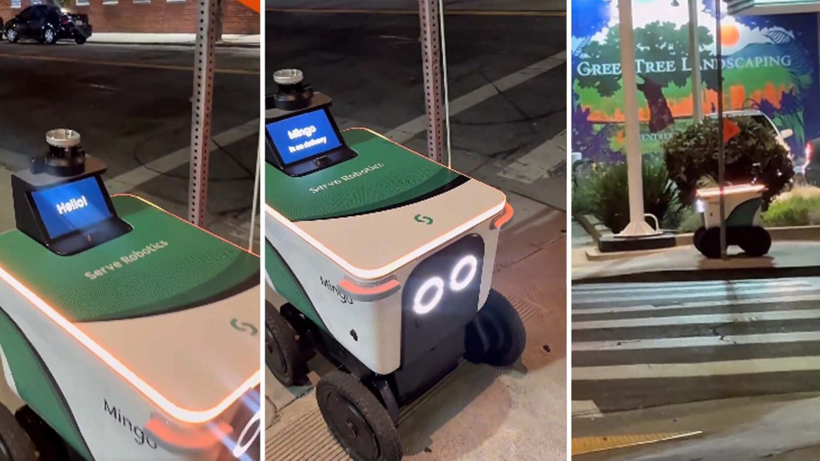Food Delivery Bot Bullied By Man At Cross Walk In Viral Video
