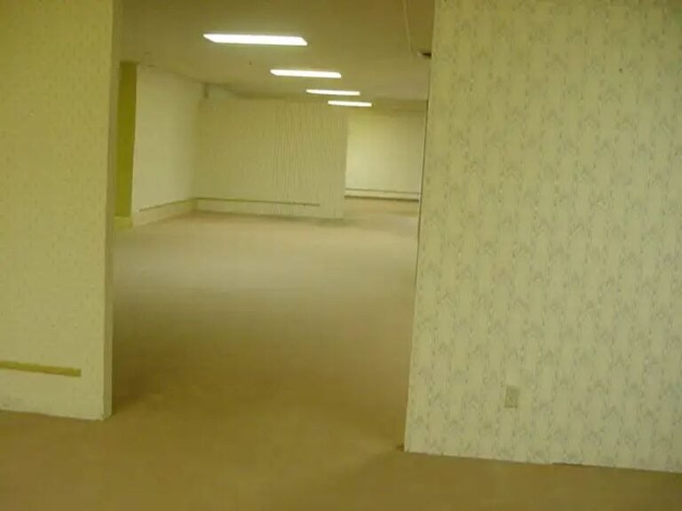 What Exactly Is Viral Online Creepypasta The Backrooms?