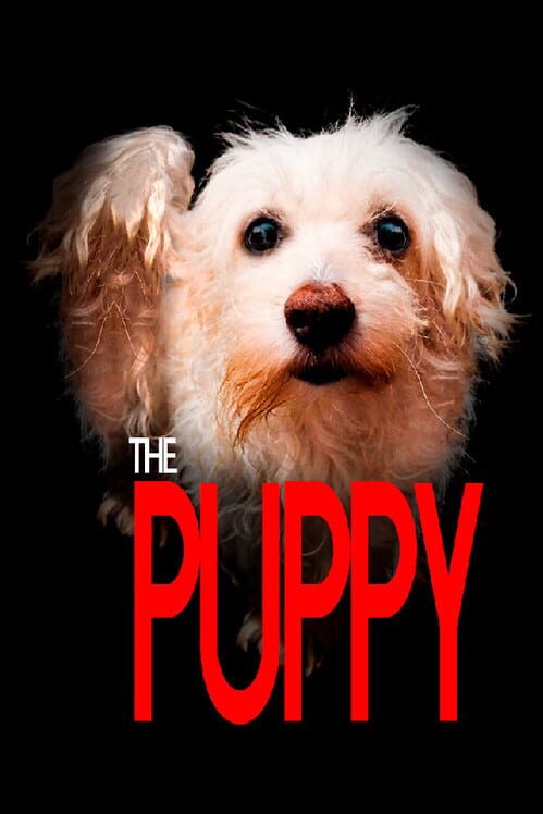 The Puppy - Kotaku