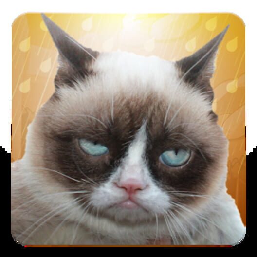 Grumpy Cat: Unimpressed - Kotaku