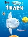 Big Shark - Kotaku